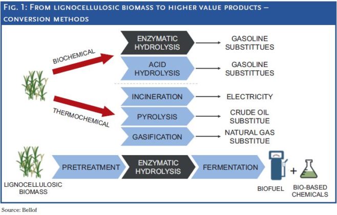 Second generation biofuels going commercial | GoingPublic.de