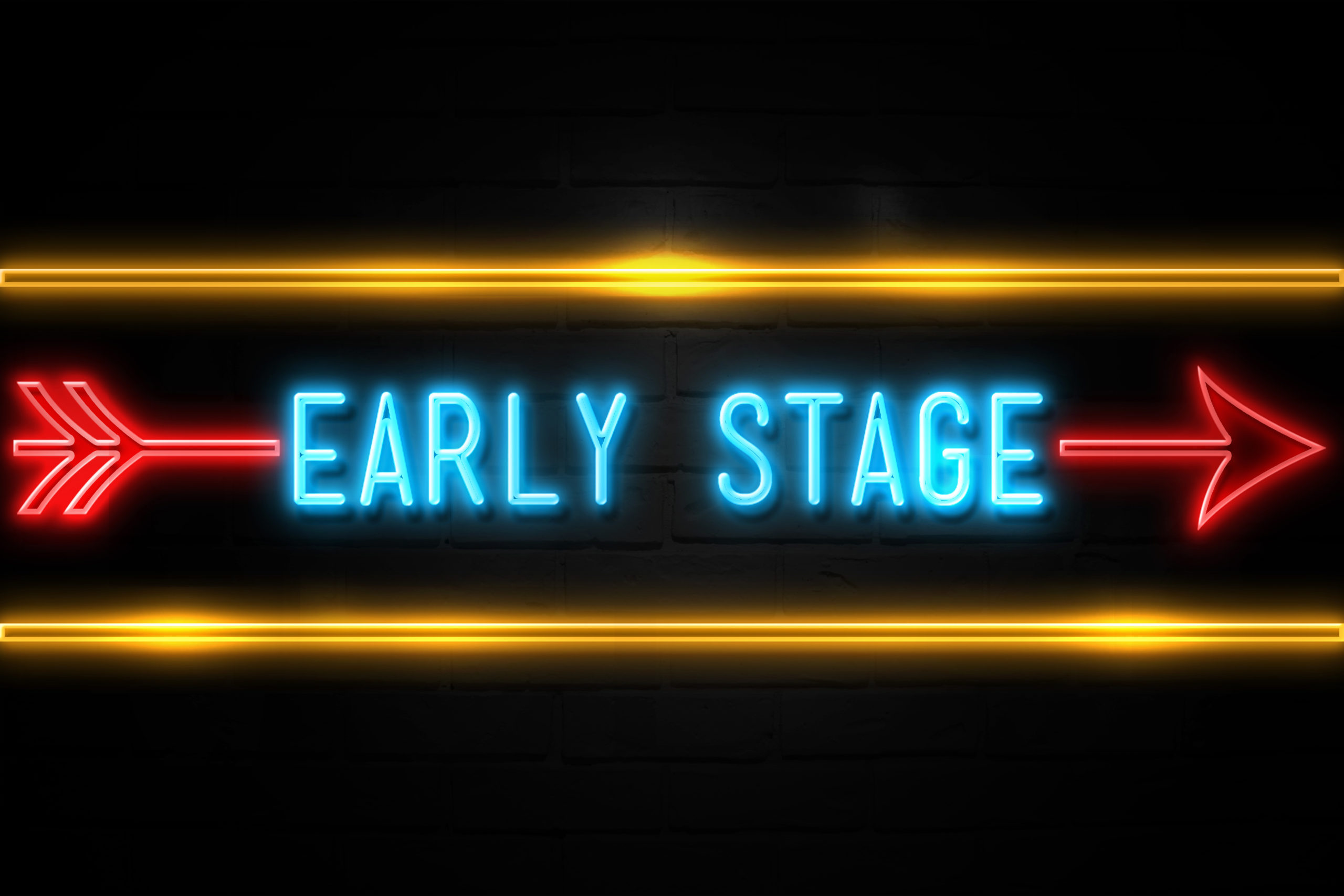Comparing late-stage vs. early-stage investment strategies | GoingPublic.de Comparing late-stage vs. early-stage investment strategies | GoingPublic.de